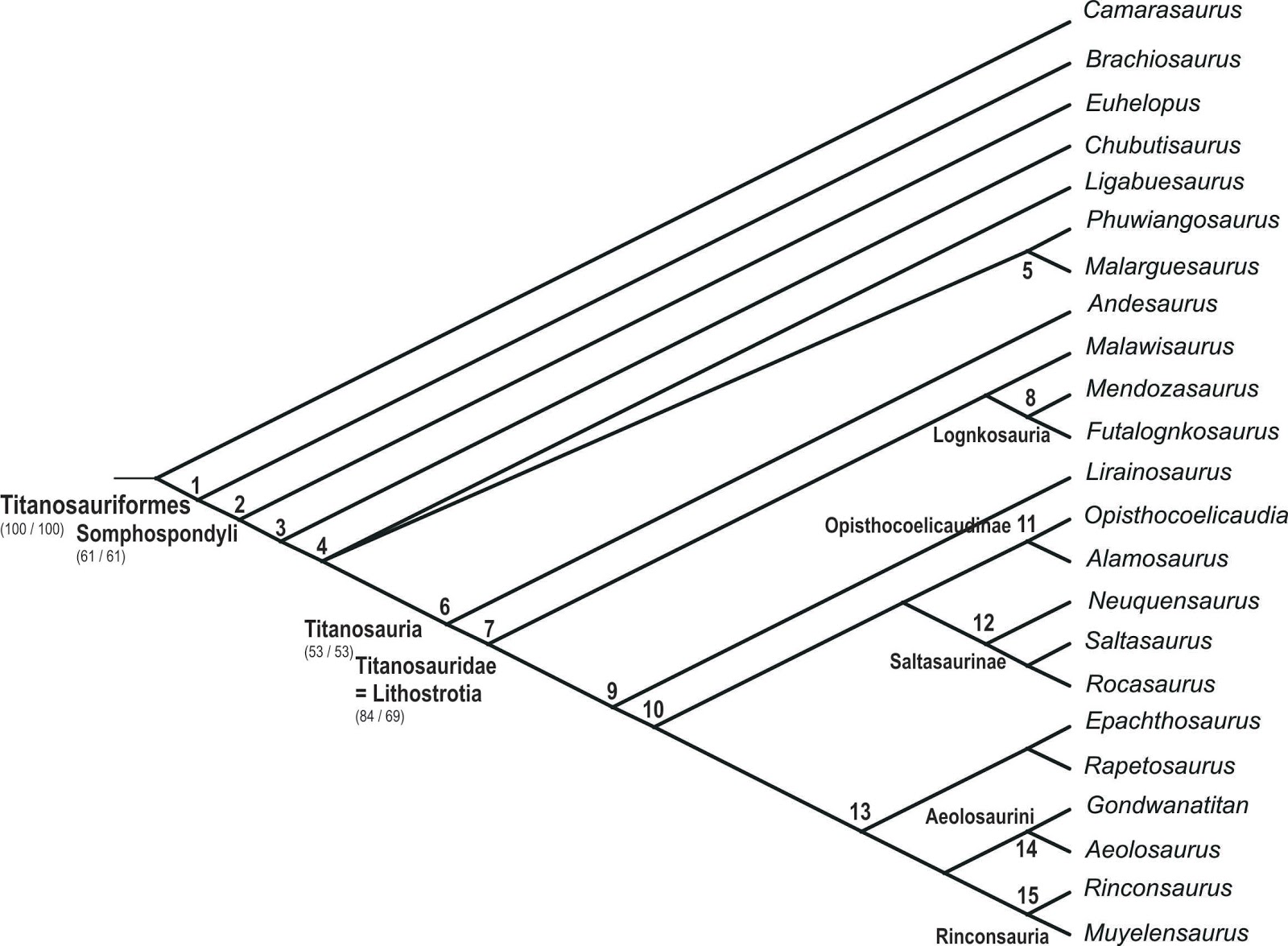 THE WORLD OF SAUROPODS, a travel blog from South America : South ...