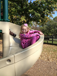 Ironflower Is 8 |TripleZmom