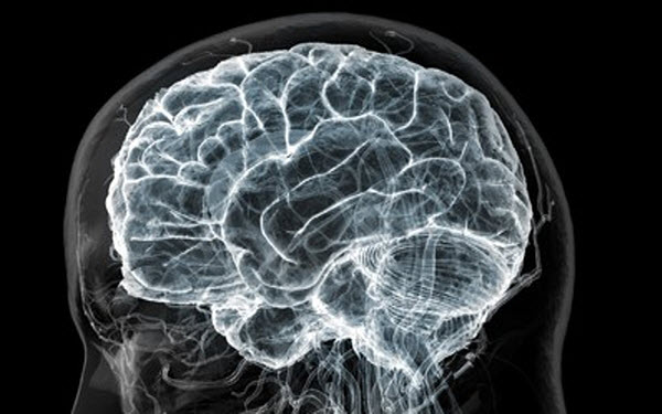 Science News: The tired brain is capable to disconnect partially neurons