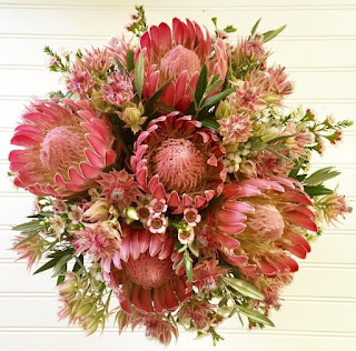 A Passion for Flowers: In the Field: Pink Duke