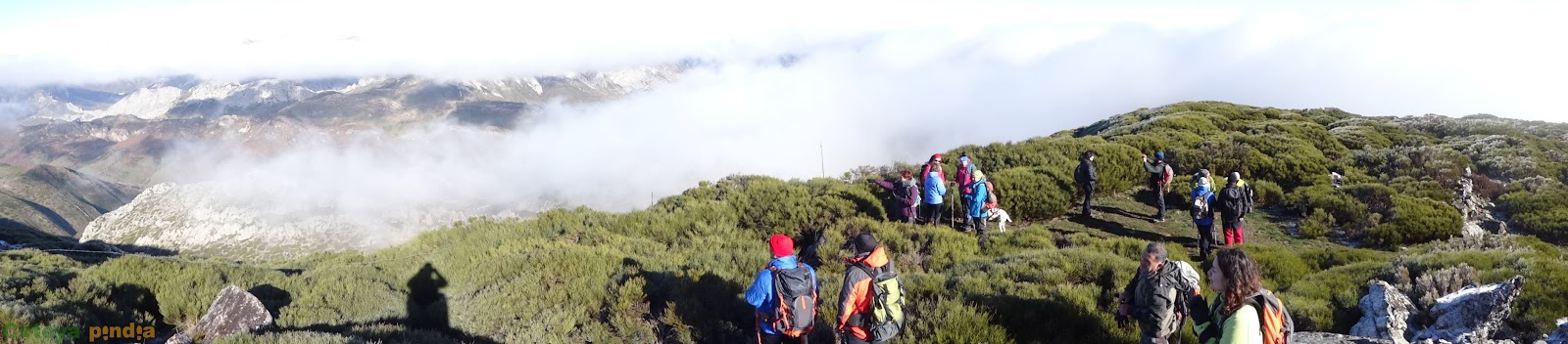 Blogueros de montaña en el Cerro Pedroso