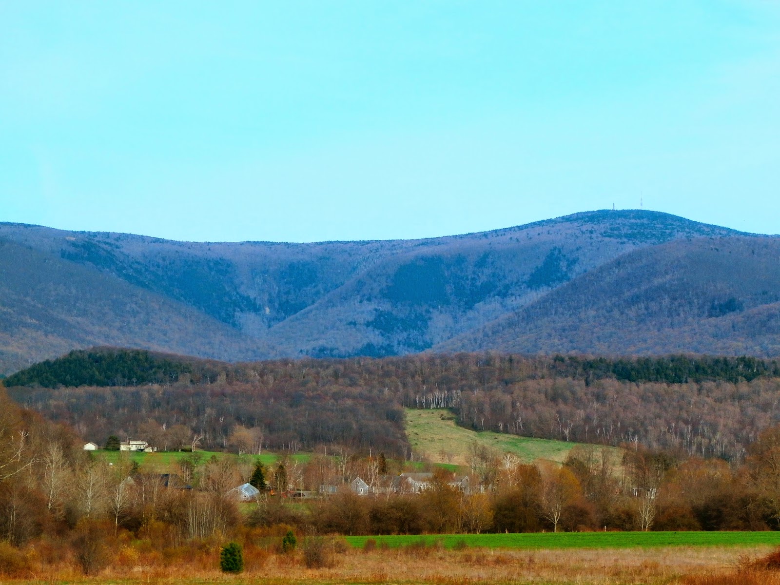 Walking Man 24 7: Williamstown(Field Farm/ Mt Hope Park/ Sheep Hill)