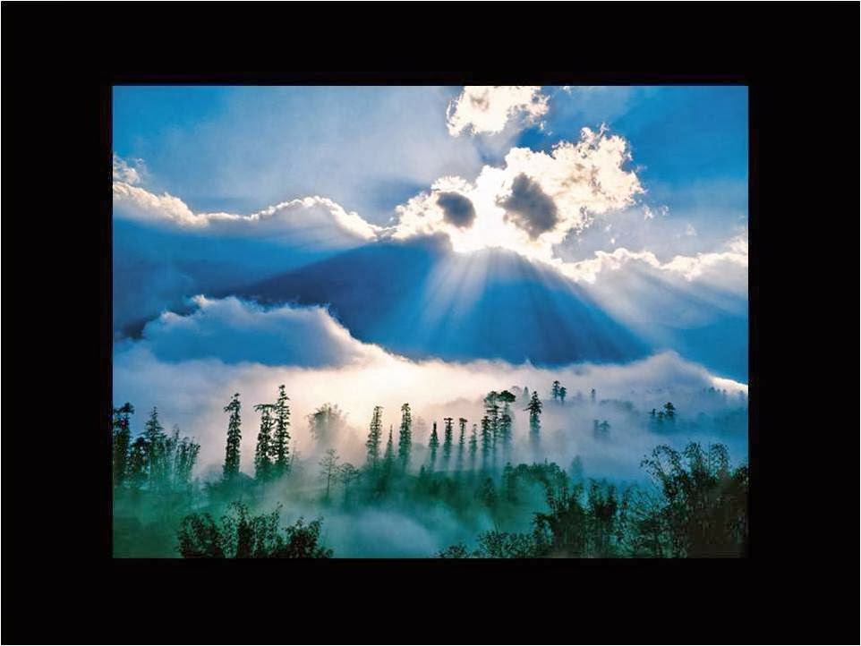 DEGENERACION MACULAR : DMAE HUMEDA