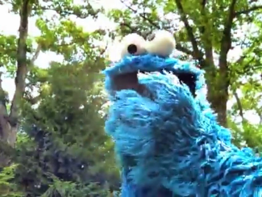 Muppet Stuff: Muppets Take "Ice Bucket Challange"