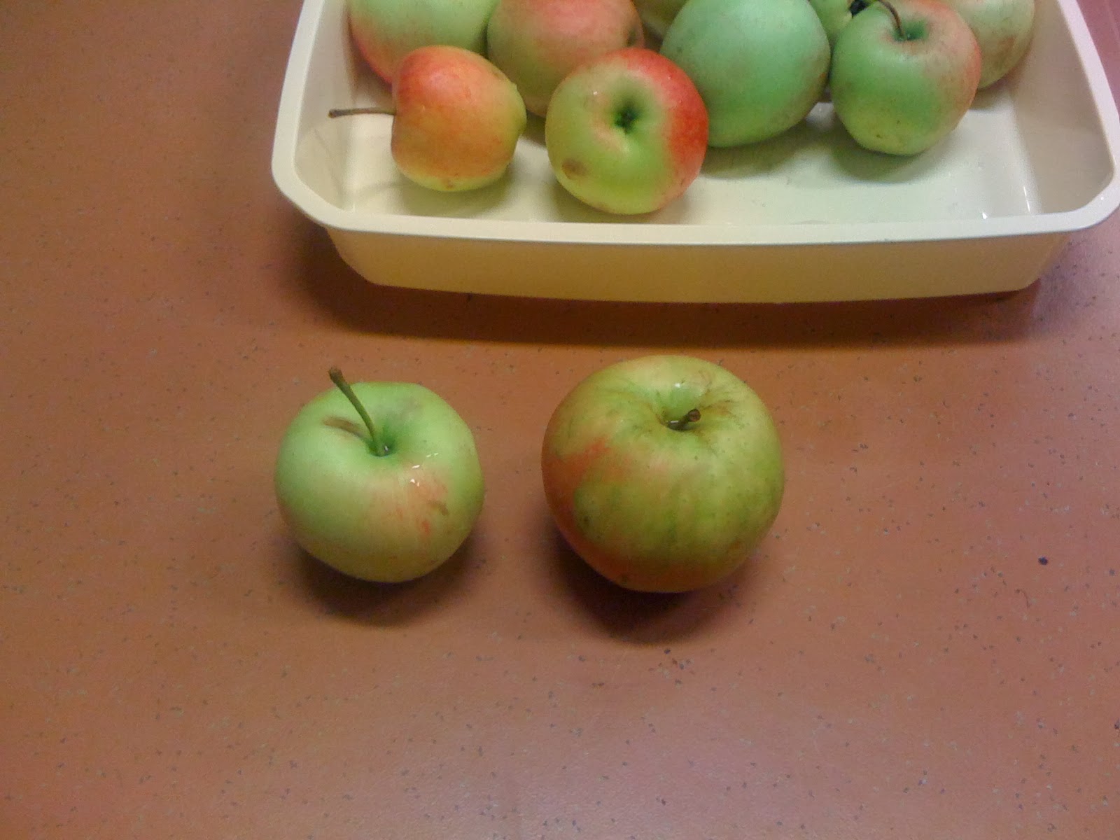 Zijn jullie klaar om er in te vliegen....: Appels groot en klein