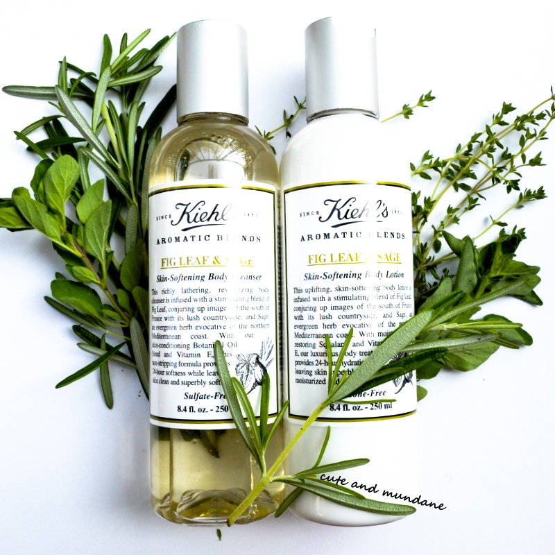 Cute and Mundane: Kiehl's new Aromatic Blends - Fig Leaf & Sage review
