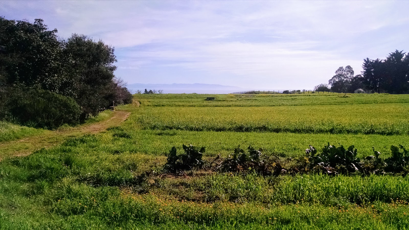 Bean Road: February 2017