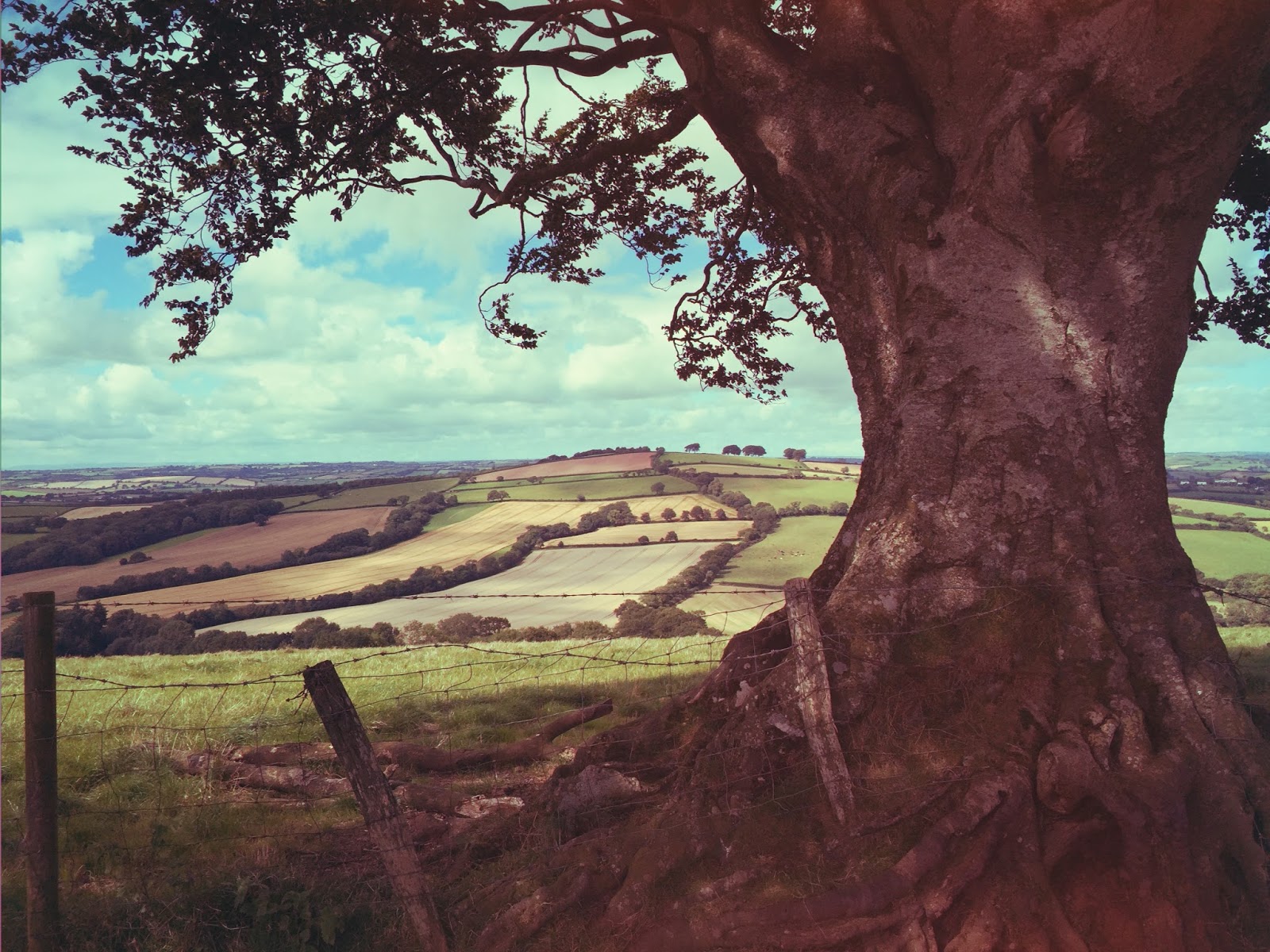 Reading and walking "Raddon Top" whilst Donald Trump and Kim Jong-un ...
