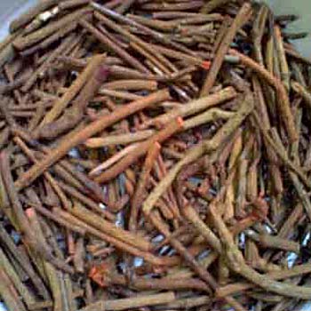 Abroma radix - HOMOEOPATHIC ALL MEDICINE