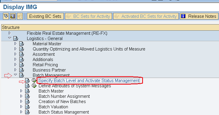 SAP BATCH MANAGEMENT : How to Define Batch Level ? | sapGyan.com