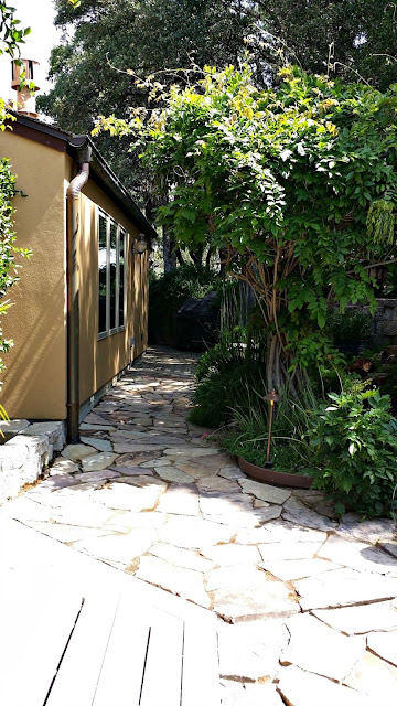 Our Yard 2015 | Life and Linda