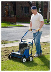 Scarifying the Lawn ~ Lawn and Turf Care