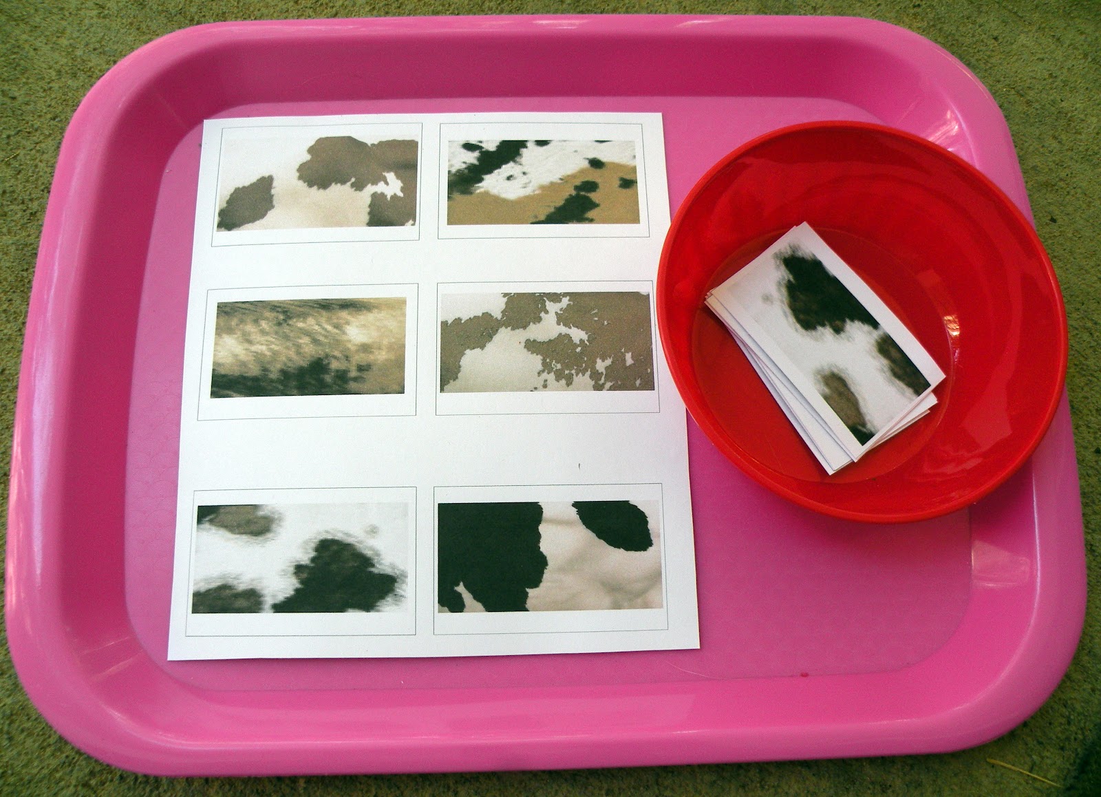 The Fantastic Five: Farm Themed Tot Trays- "Sponsored" by the Letter C...