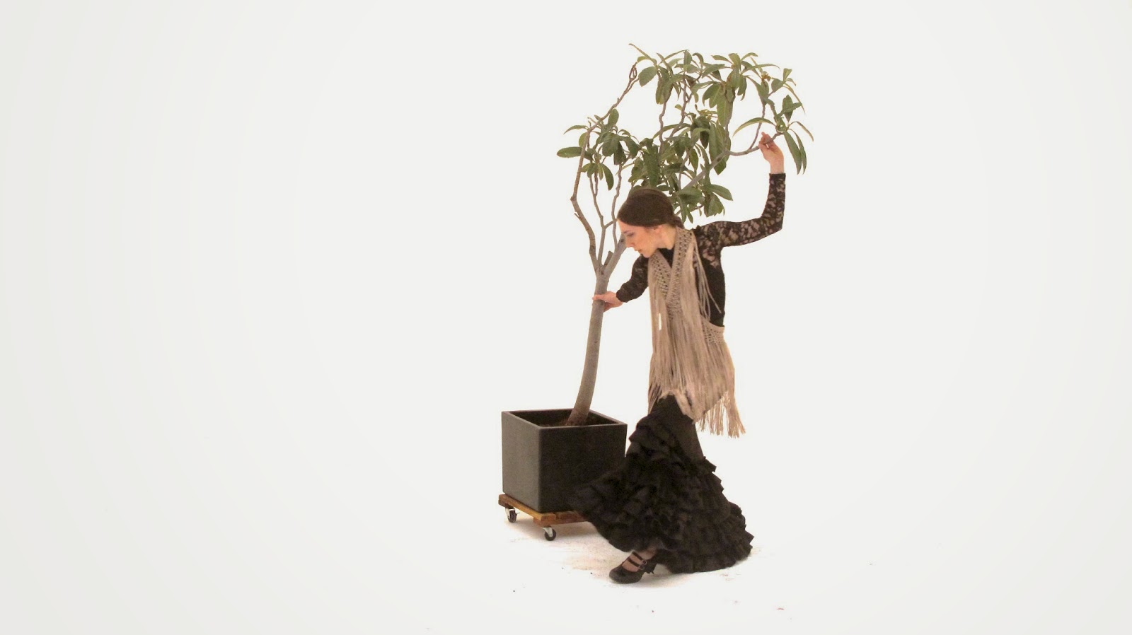 Honevo Blog: DANZA BIÓNICA - BIONIC DANCE / DANCING WITH TREES ...