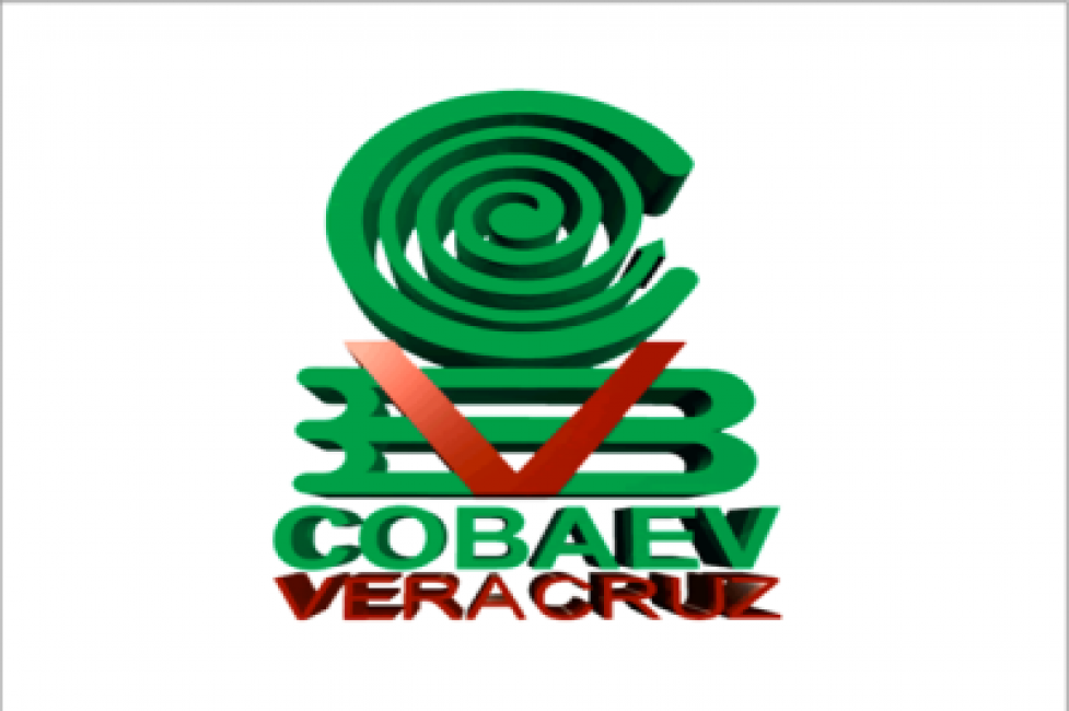 cobamigos: UNIFORMES COBAEV