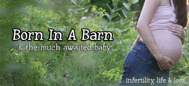 Born in a Barn: Nursery Inspiration
