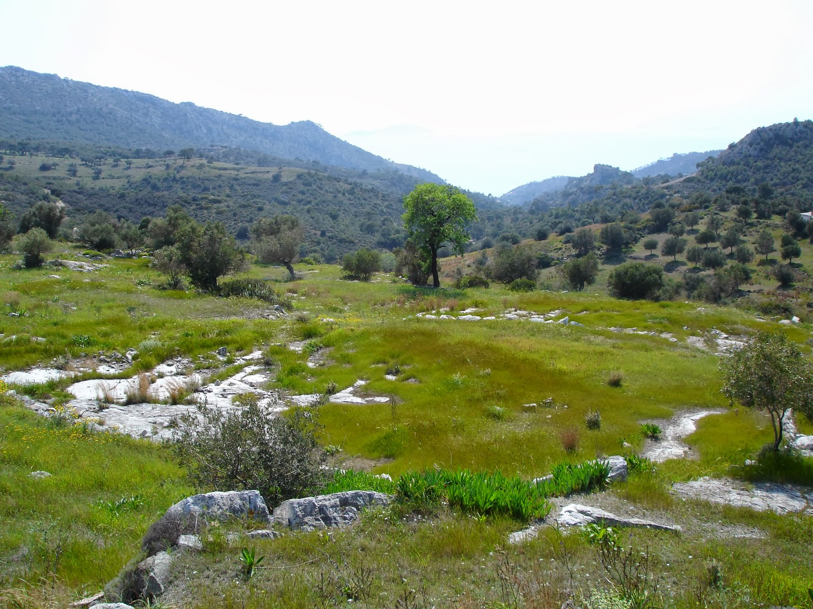 ΑΙΑΝΤΕΙΟmythosartandmediaΣΑΛΑΜΙΝΑ: ΕΝΑ ΧΩΡΙΟ ΦΑΝΤΑΣΜΑ ΣΤΟ ΥΨΙΠΕΔΟ ΤΟΥ ...