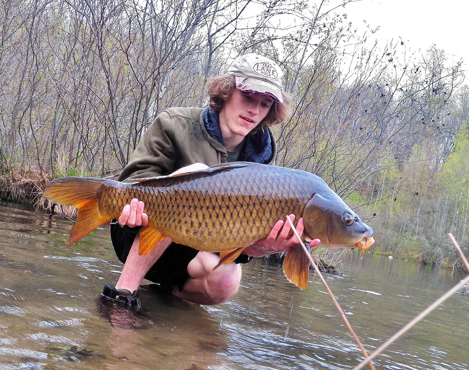Connecticut Fly Angler: The First 20+ Pound Carp of the Year