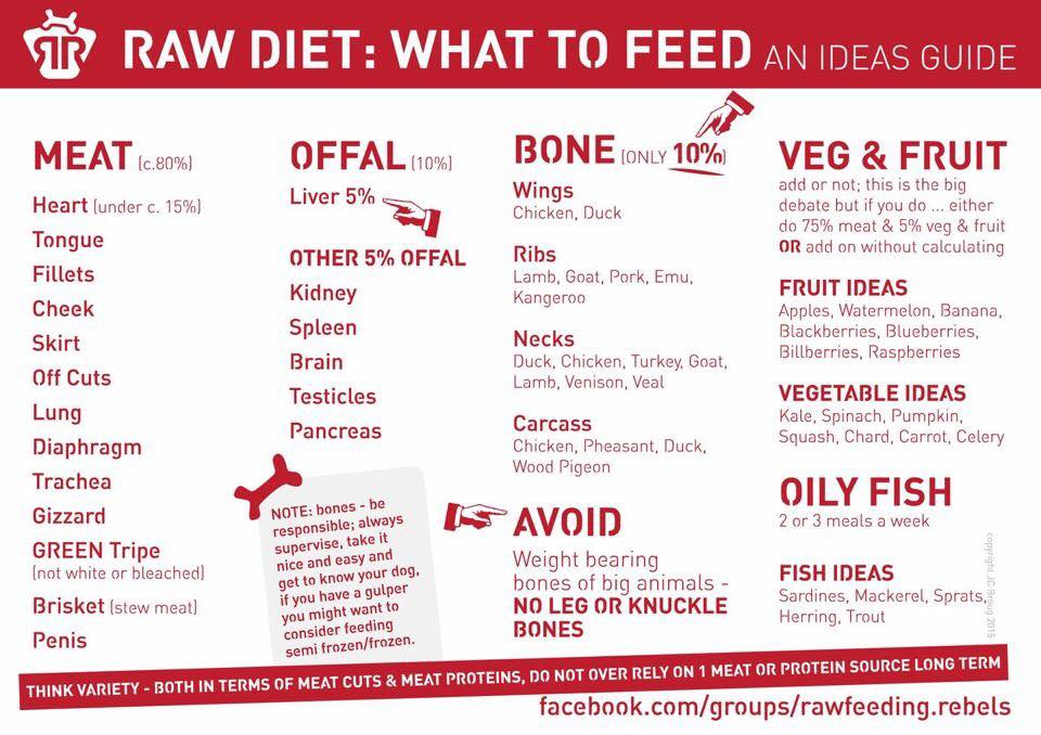 Road's End Papillons : Raw Diet: What To Feed
