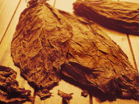 Tobacco Killer ! -Bahayanya Si Tembakau. ~ It's My World