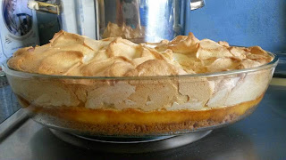 LEKKER RESEPTE VIR DIE JONGERGESLAG: SUURLEMOEN MERINGUE TERT
