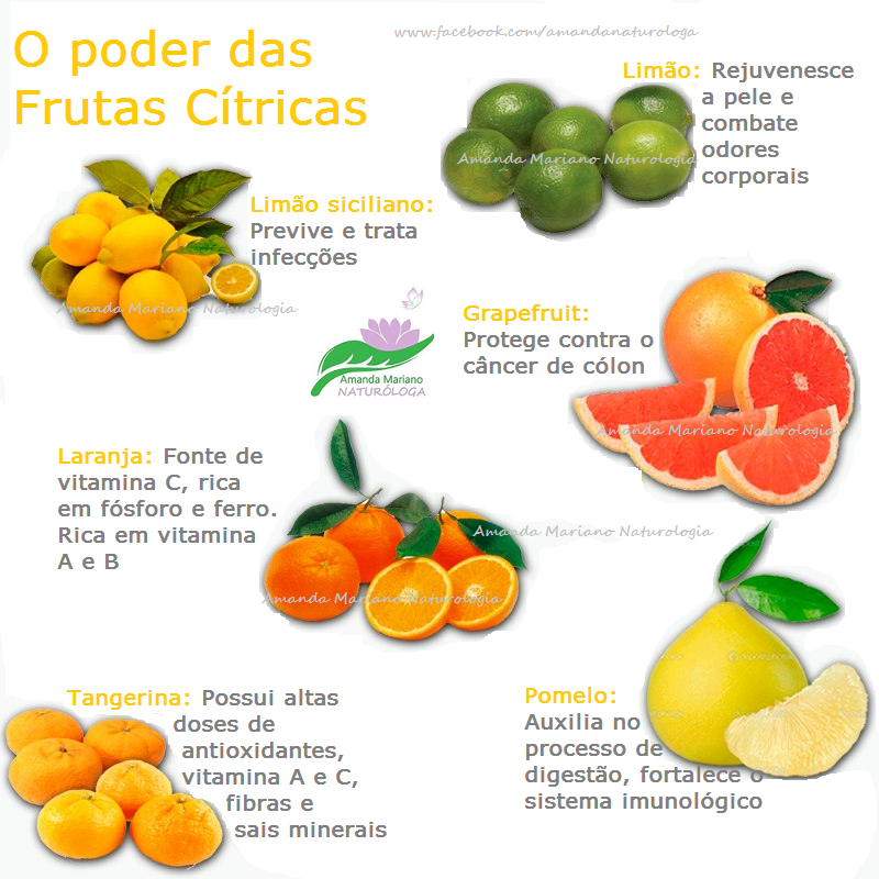 Aloe Vera; Alimento que Rejuvenece, Revigora e Nutre.: Frutas Cítricas