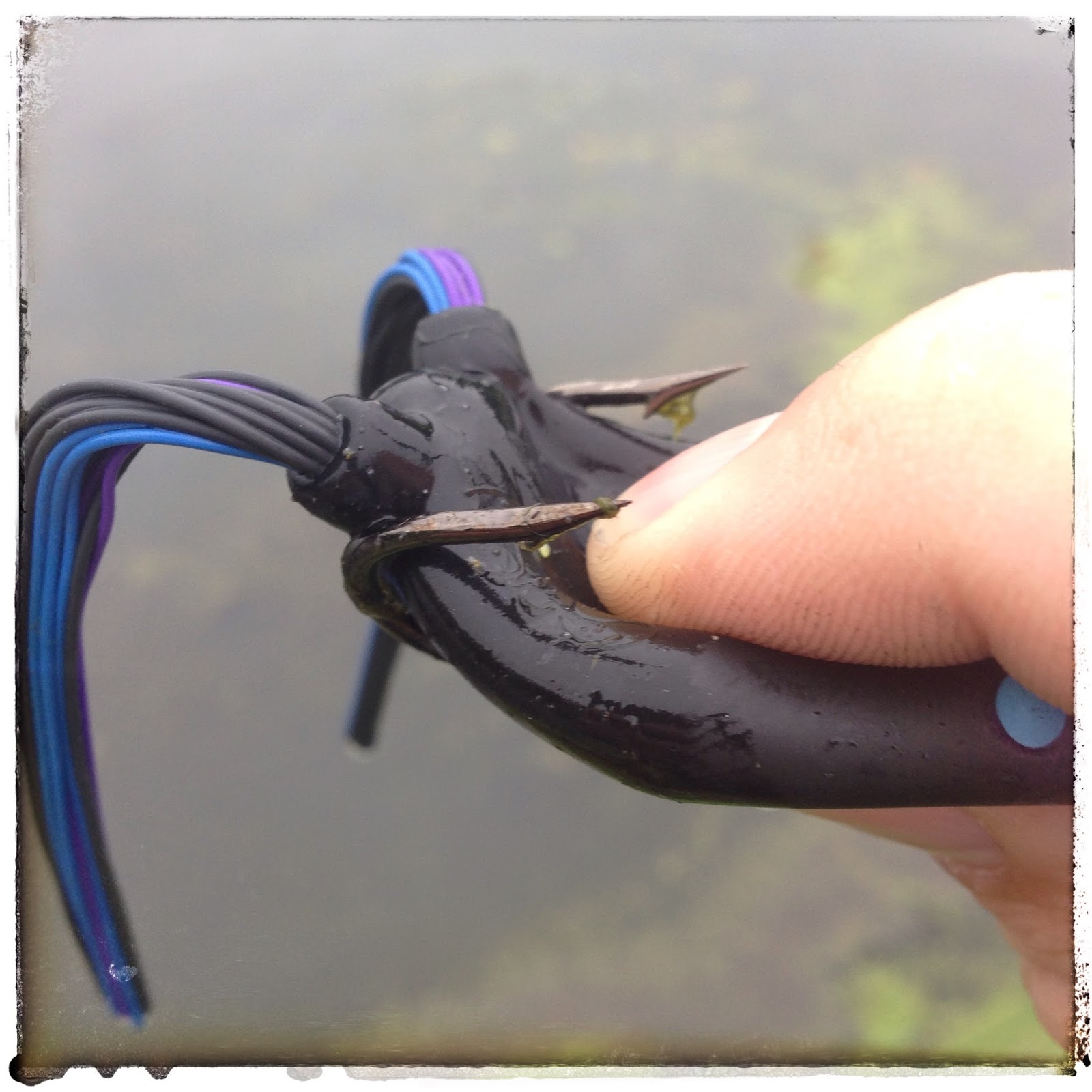 Bass Junkies Frog Pond: Reaction Innovation Swamp Donkey Review