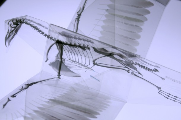 “Oritsunagumono” The Transparent Origami