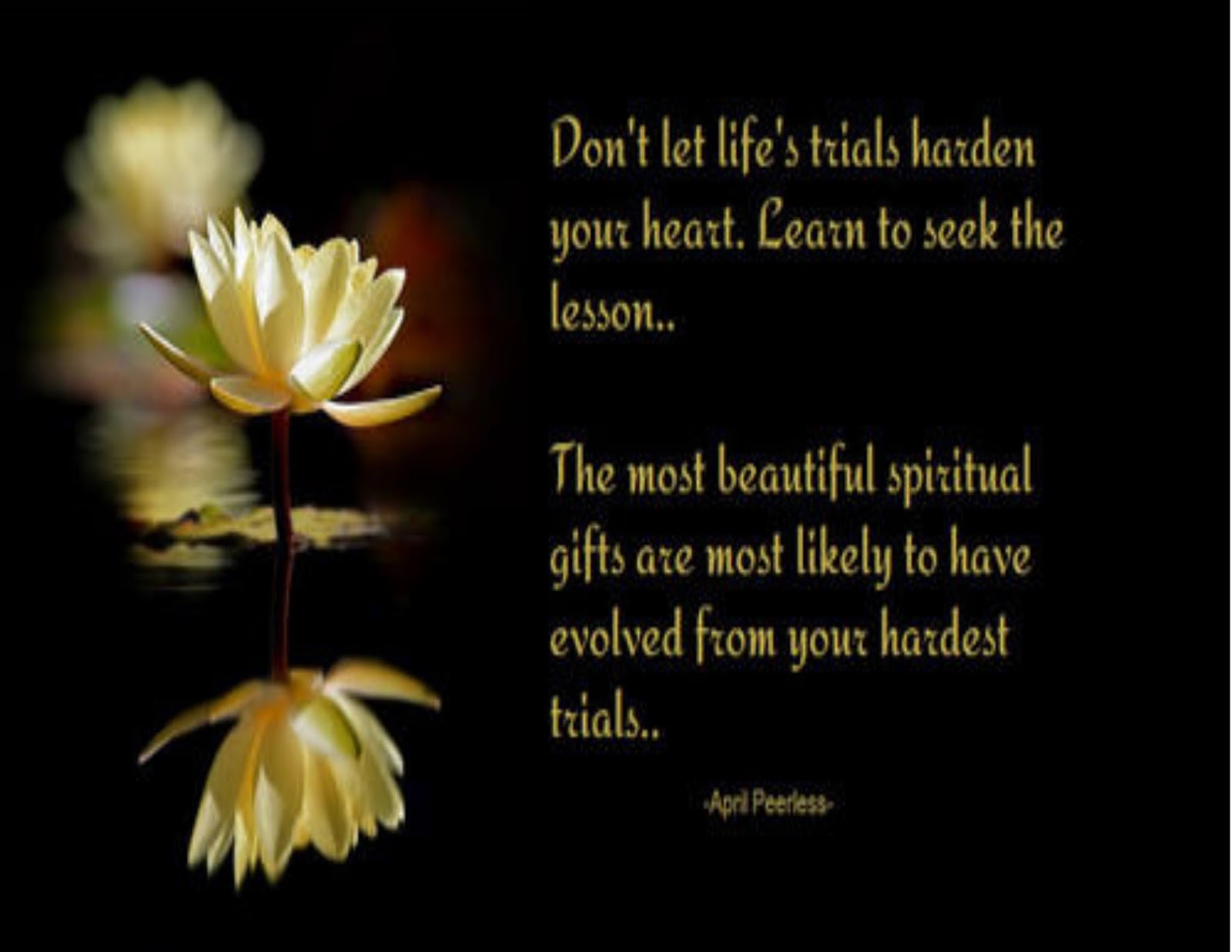 J.A.JACKSON: Don’t let life's trials harden your heart! Seek the lesson ...