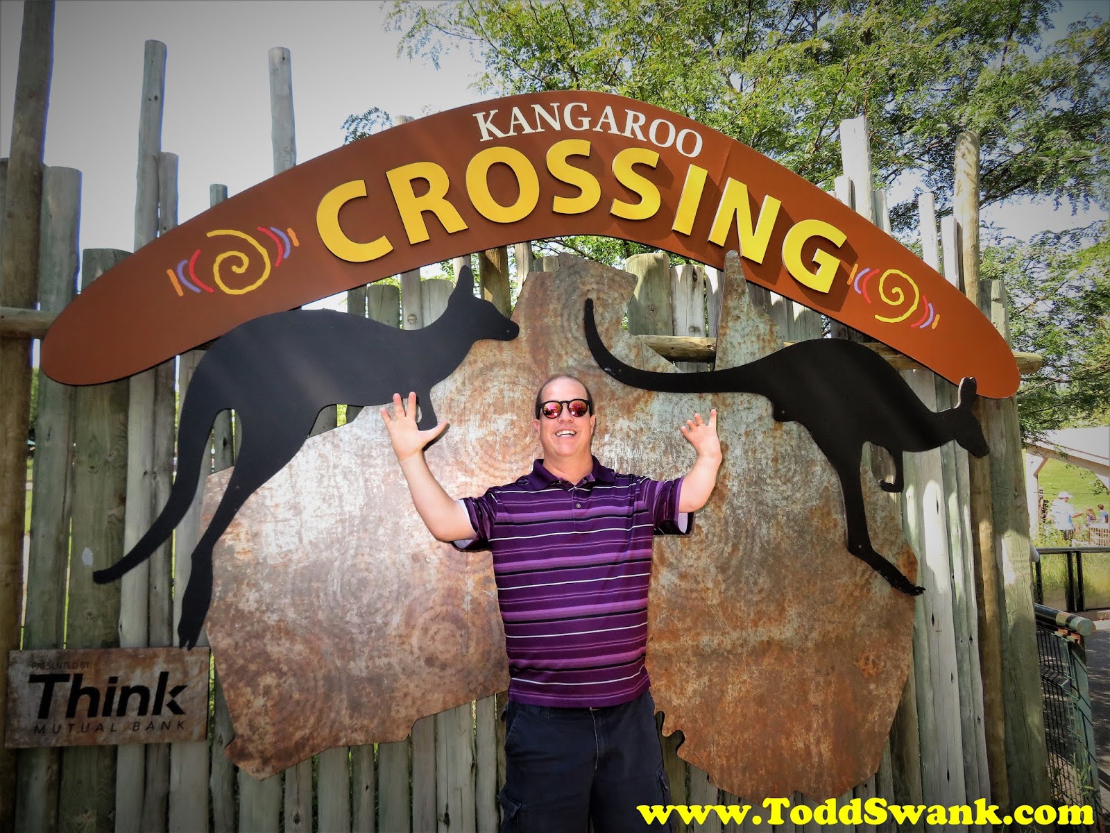Todd Swank: Kangaroo Crossing at the Minnesota Zoo