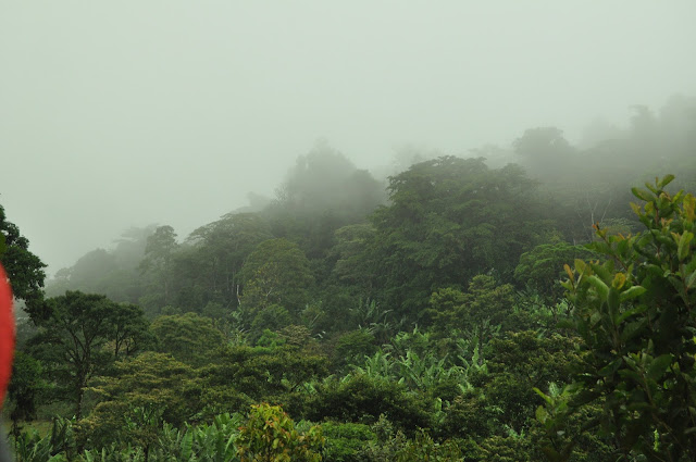 Antropología Nicaragüense: Reserva Natural y Zona Protegida Miraflor ...