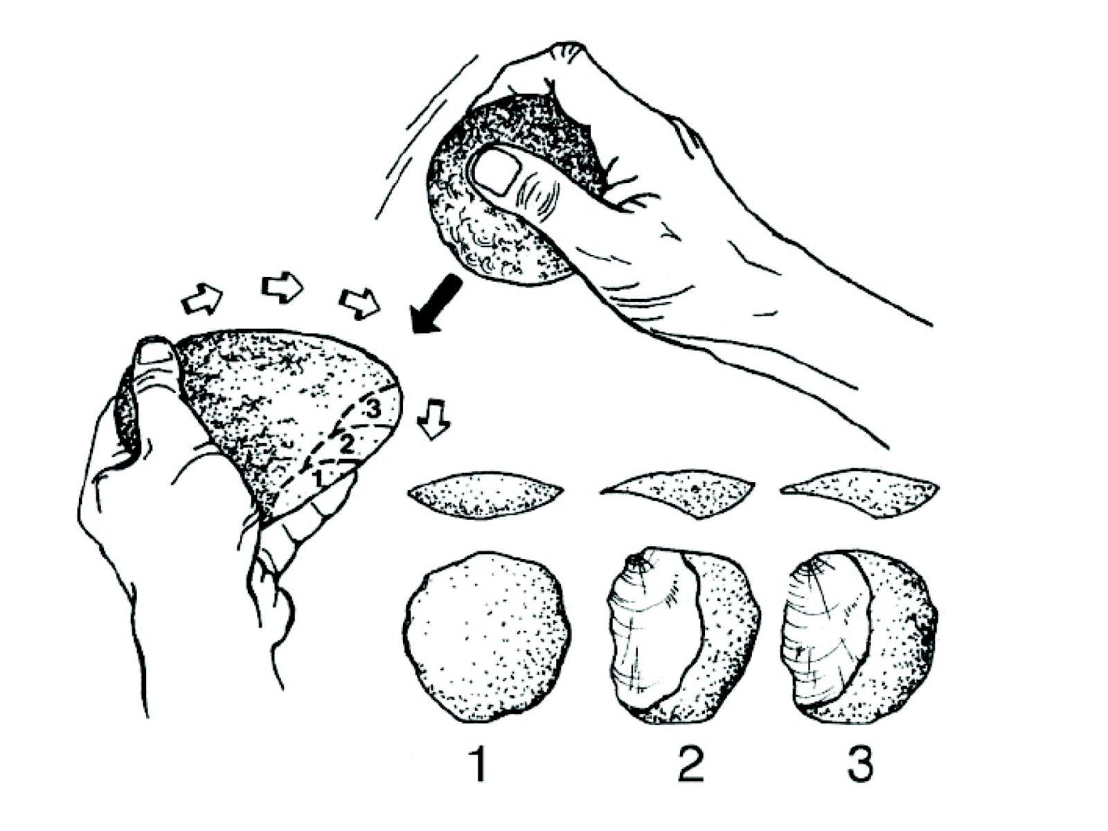 Paleoantropología hoy: Olduvaiense o Modo 1