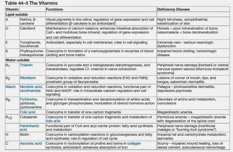 The Tranformational Wellness Project: Topic 3: Micronutrients ...