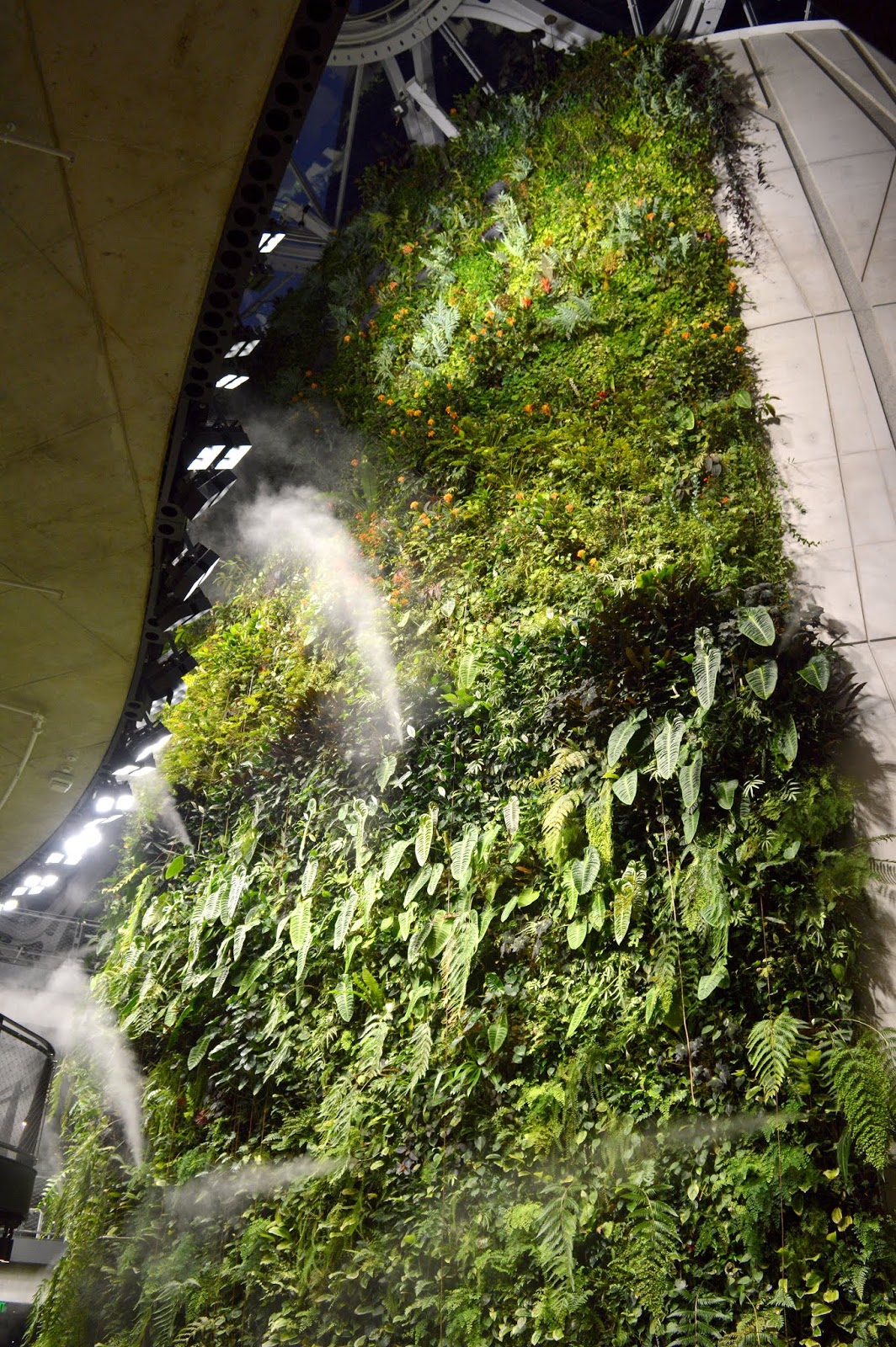 A Tour Of The Amazon Spheres in Downtown Seattle