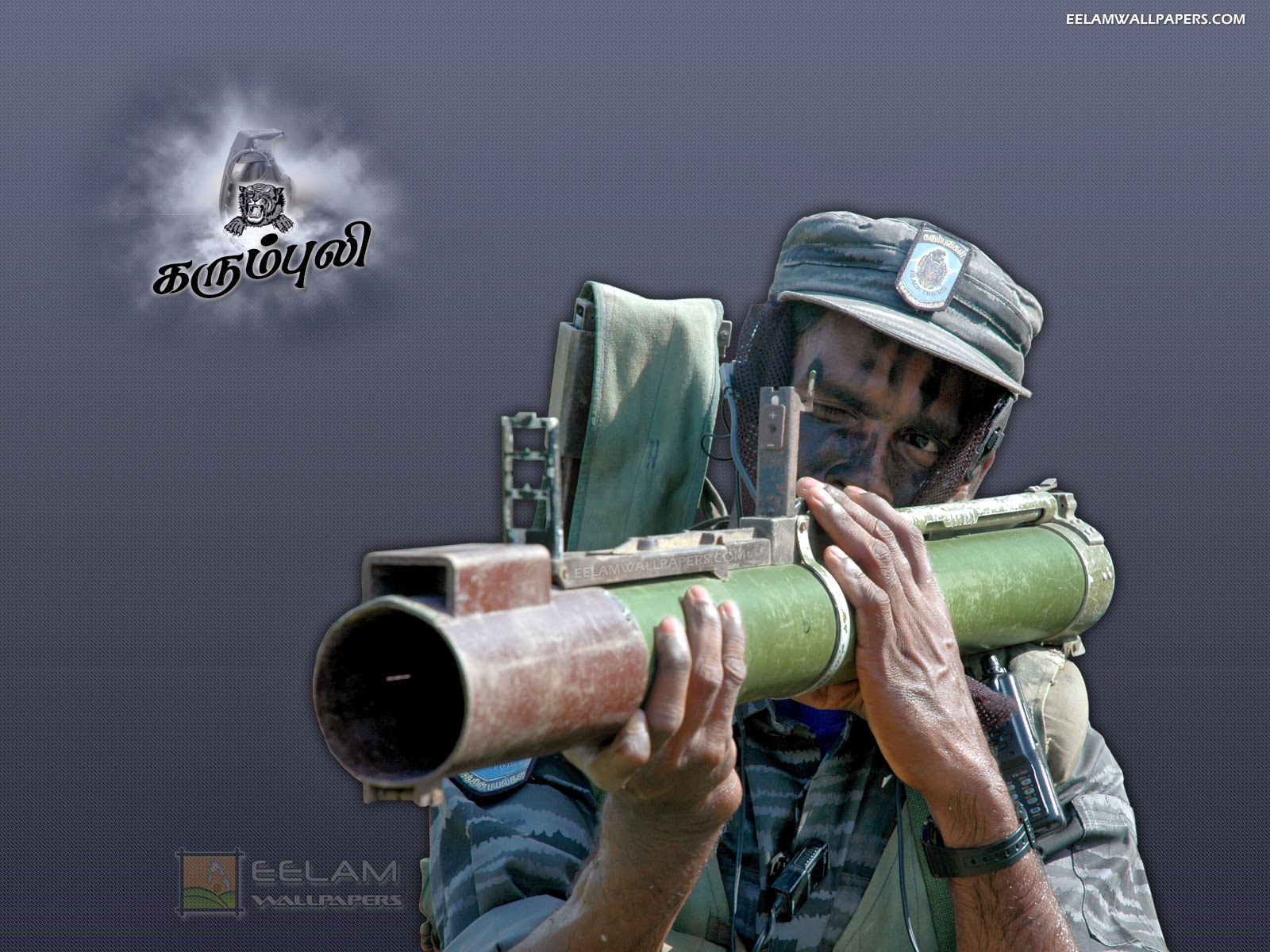 Guerrillas in the Midst: LTTE