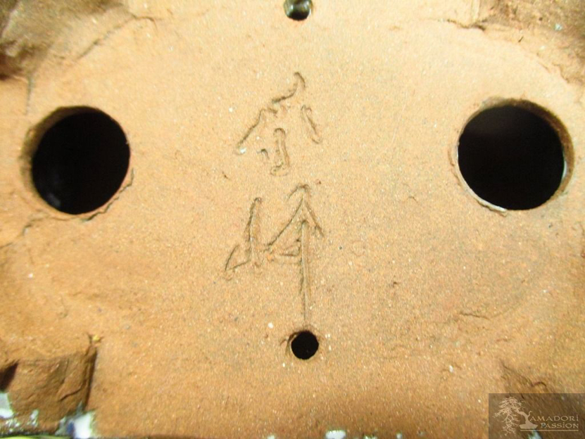 Yamadori Passion: "El Olmito" (V)