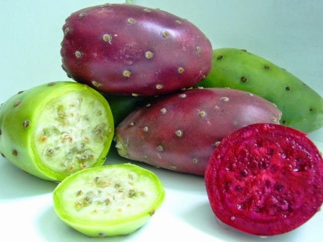 Highland Foods: FRUTAS DE LA SIERRA