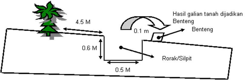 PALM OIL ATAU KELAPA SAWIT: KONSERVASI TANAH DAN AIR PADA TANAMAN ...