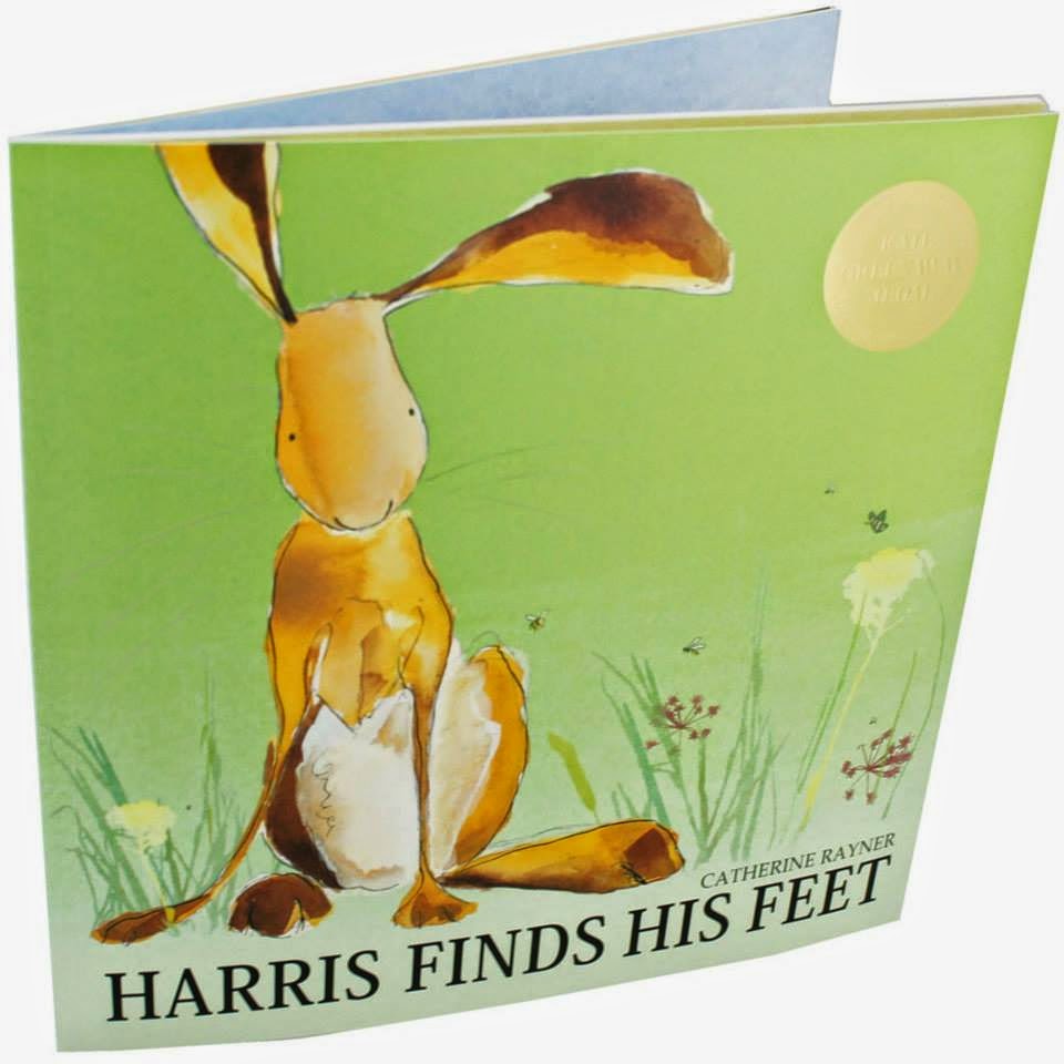 Book: Harris Finds His Feet | NINOS SHOP
