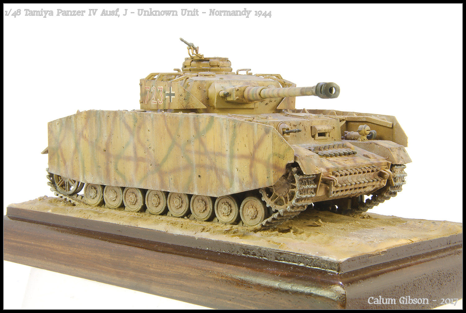 The Hamfisted Modeller: 1/48 Tamiya Panzer IV Ausf, J - Unknown Unit ...