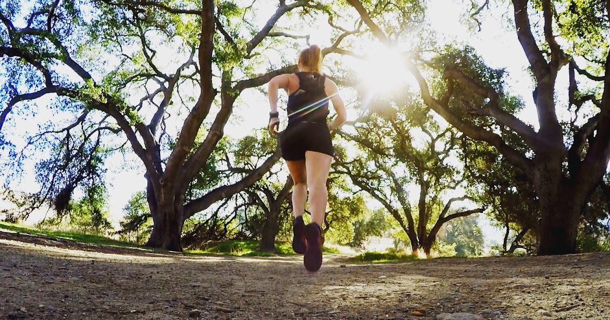 Wild Seads: Amazing Energy Systems!