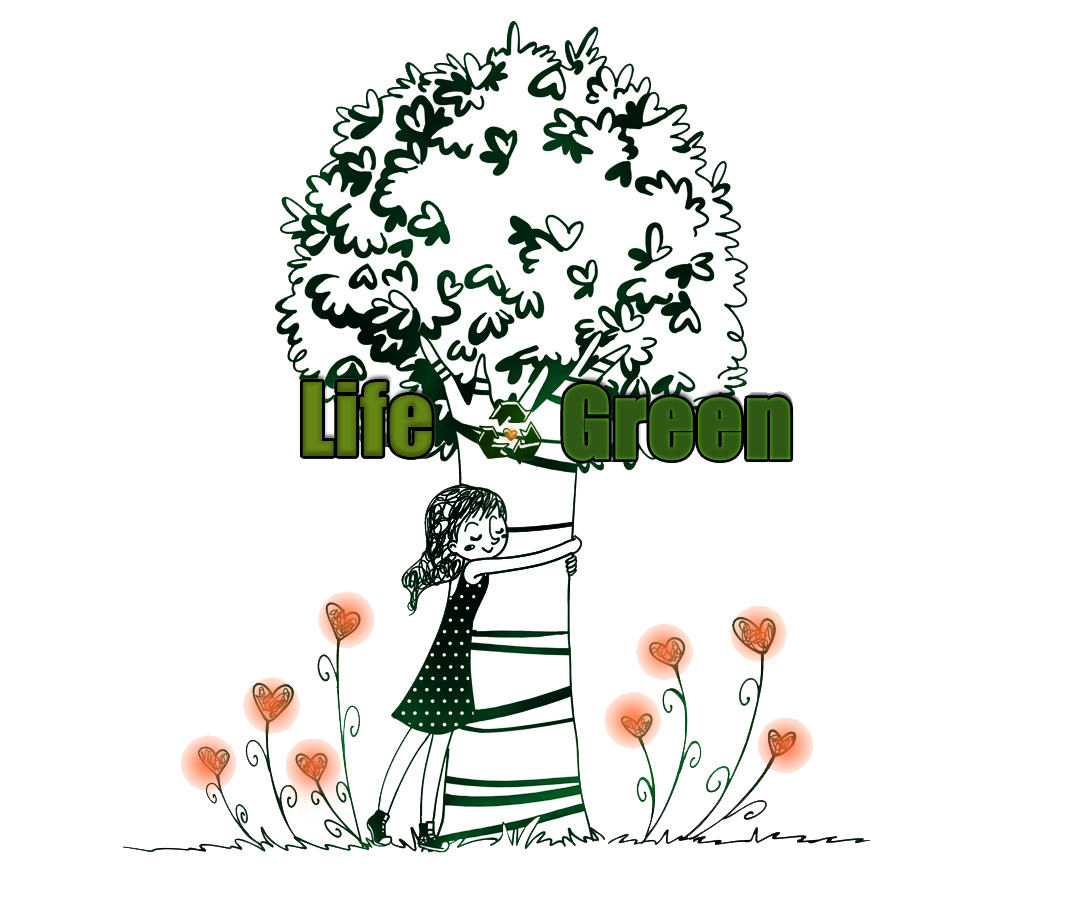 Life Green: Nos presentamos