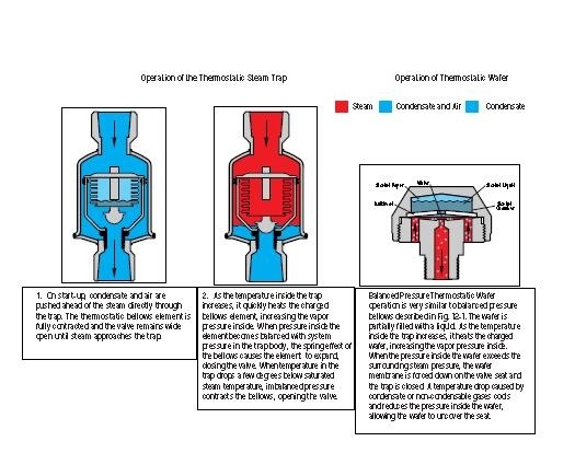 AN INTRODUCTION TO STEAM TRACING