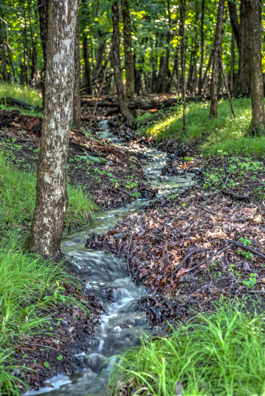 TrulandPhoto MiniBlog: Reflections, Rivulets and Rivers - Part 2, Rivulets