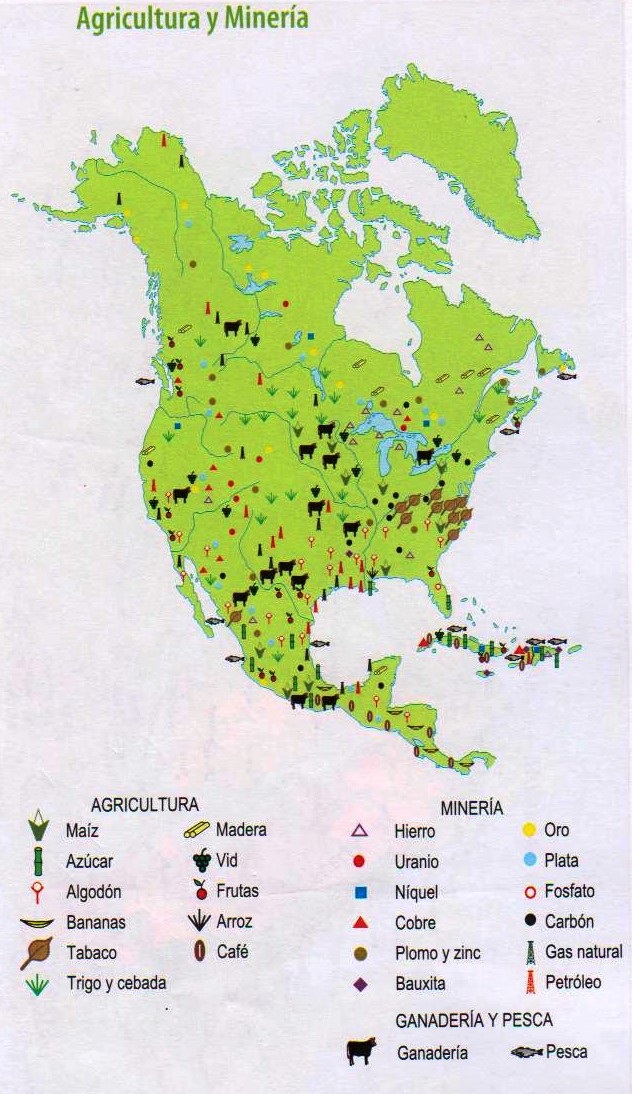 Historia y Ciencias Sociales: Los Recursos Naturales de América