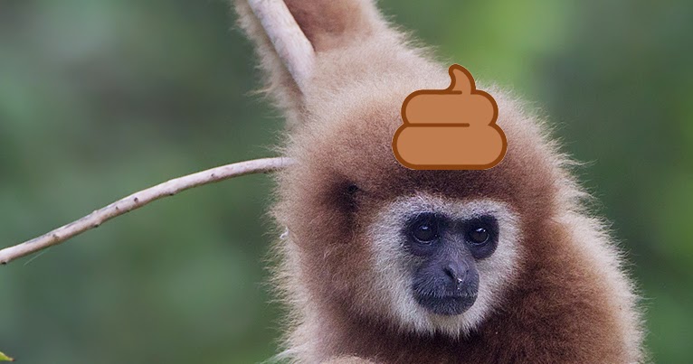 Oregon Beer Snob: Shitgibbon Friday