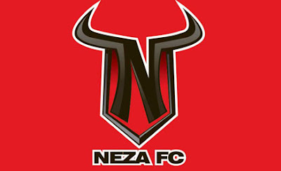 ANOTANDO FÚTBOL *: TOROS NEZA