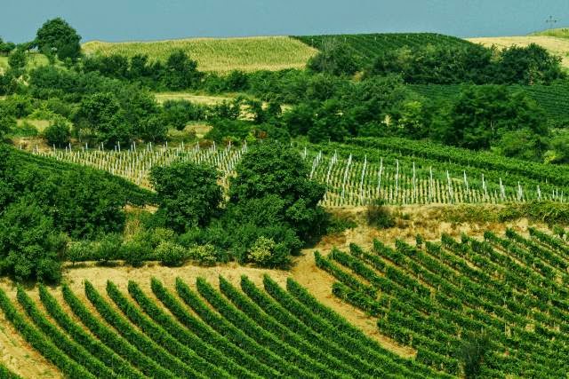 National parks of Serbia: Fruška Gora National Park