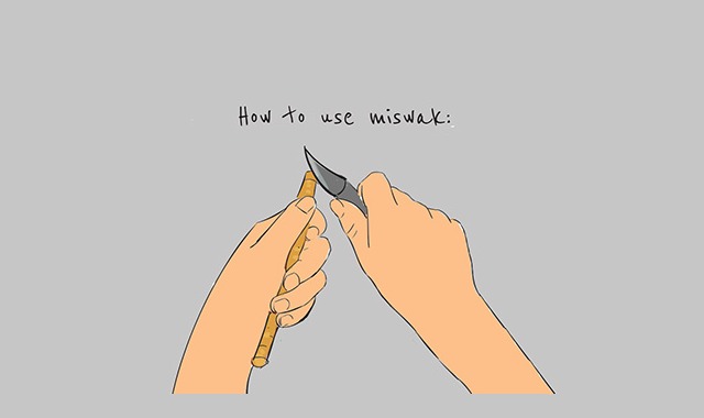 The Easy Guide to Using a Miswak #infographic - Visualistan