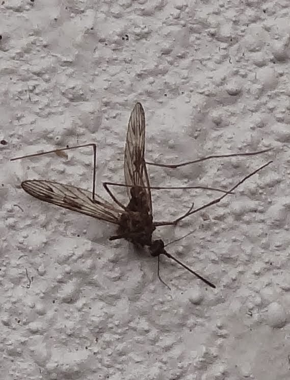 Cruising the Pacific Northwest, San Juan Islands, British Columbia ...